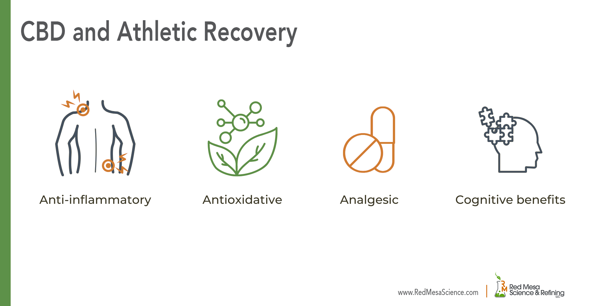 Can CBD Aid in Athletic Recovery? | A Research Based Article